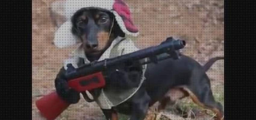 Los 9 Mejores PISTOLAS PERROS | (Septiembre 2021) | Comparativa